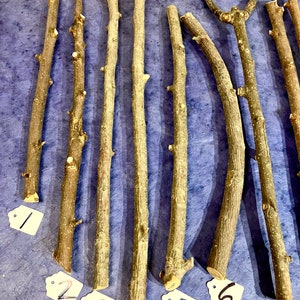 Wild Apple Wand Carving Wood - Etsy