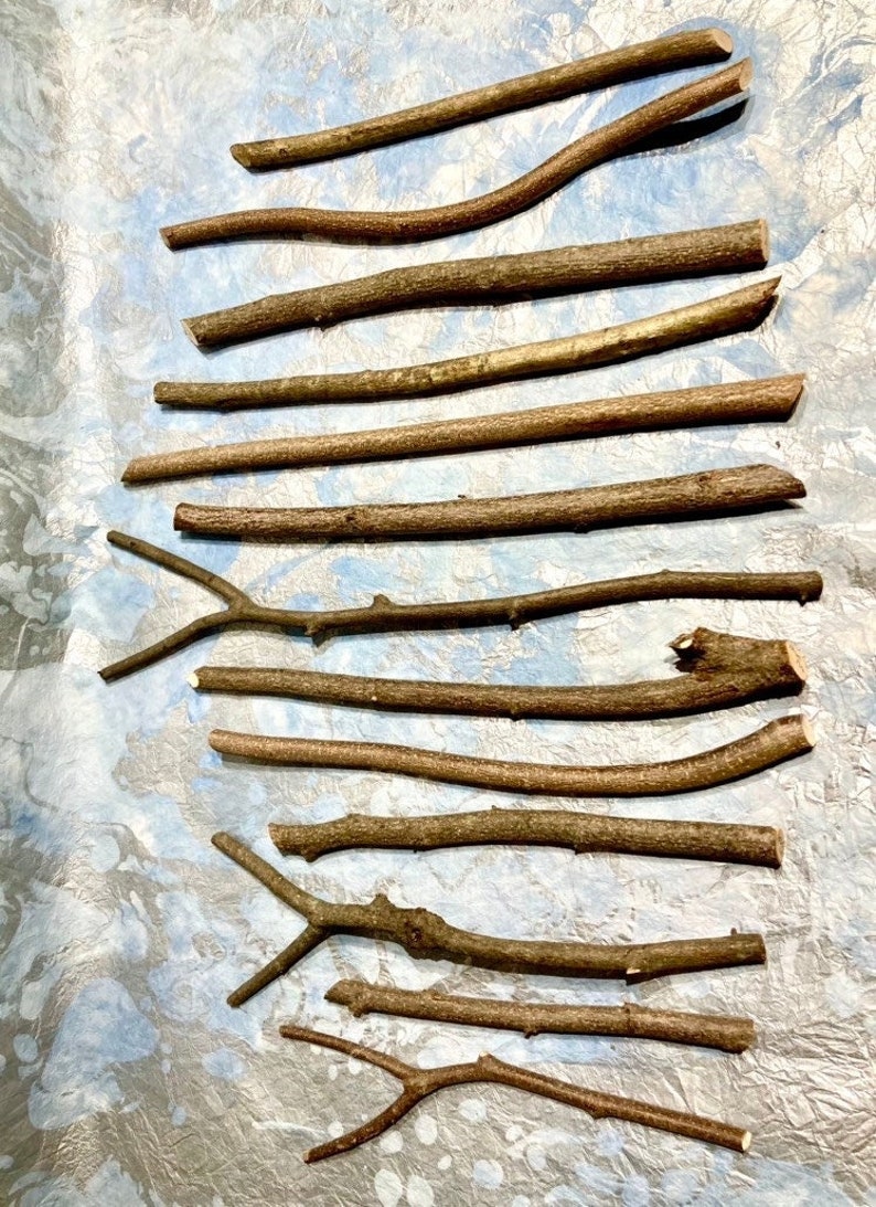 Hazel Wood Sticks Hazelnut Wand Whittling Wood - Etsy