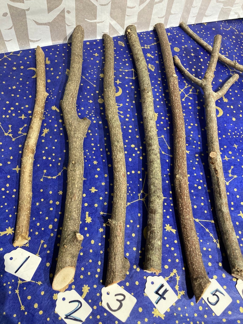 Hazel Wood Sticks Hazelnut Wand Whittling Wood - Etsy