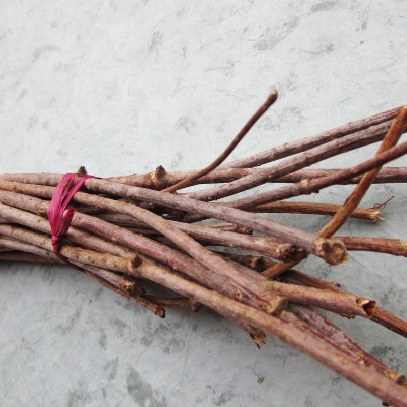 Elder Wood - Etsy