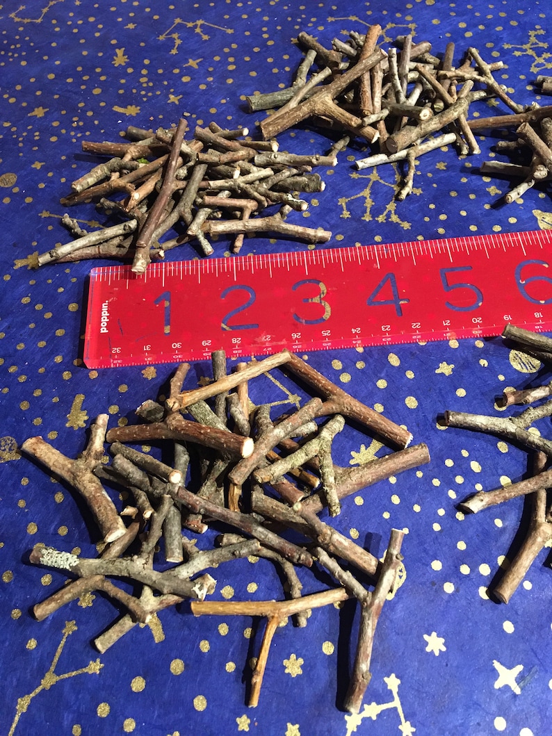 Witch Hazel Twig Forks 4 Sizes Tiny Forked Sticks - Etsy