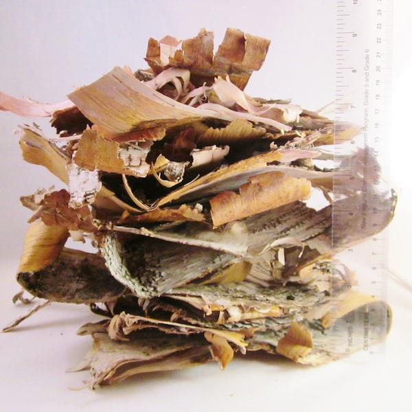 Birch Bark Sheets - Etsy