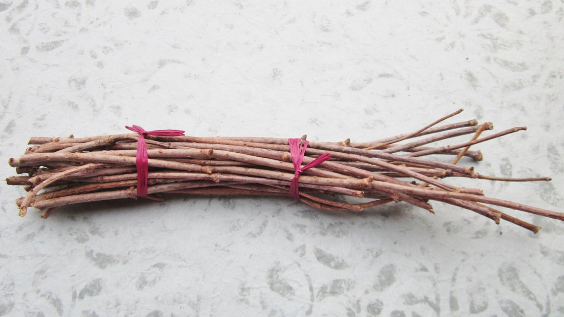 Elder Wood Twigs Dried Elderberry Sticks Sambucus Canadensis - Etsy
