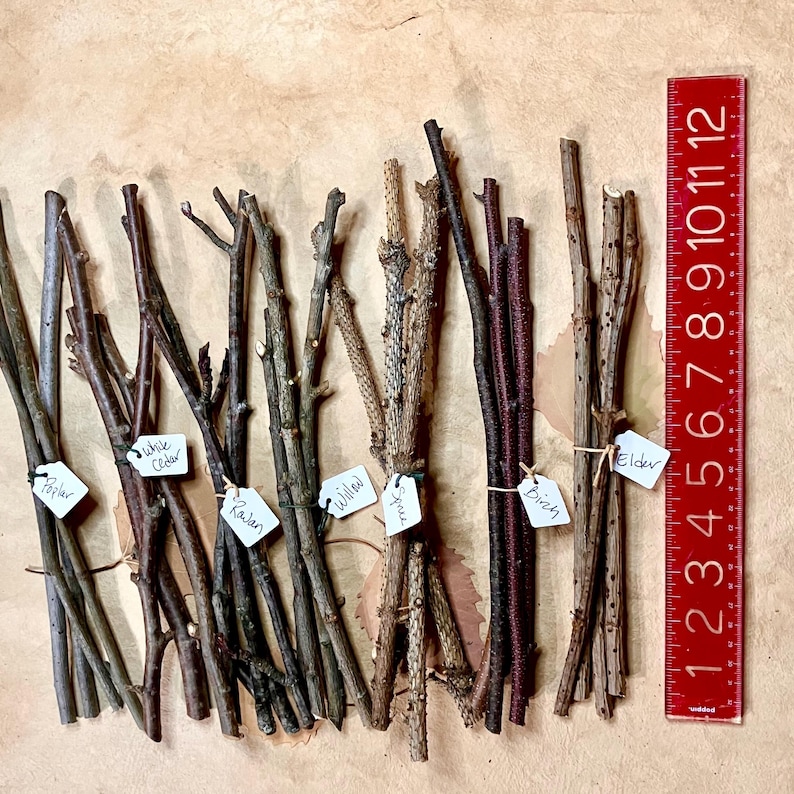 Wood Stick Bundles, Choose From 40+ NH Grown Species - Etsy