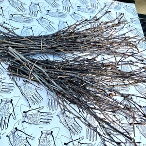 Mini Birch Twigs, 100 12" Birch Twig Tip Bundles - Etsy