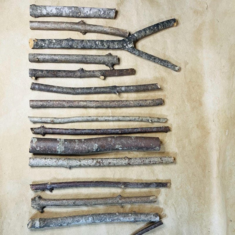 Ash Wand Pagan - Etsy