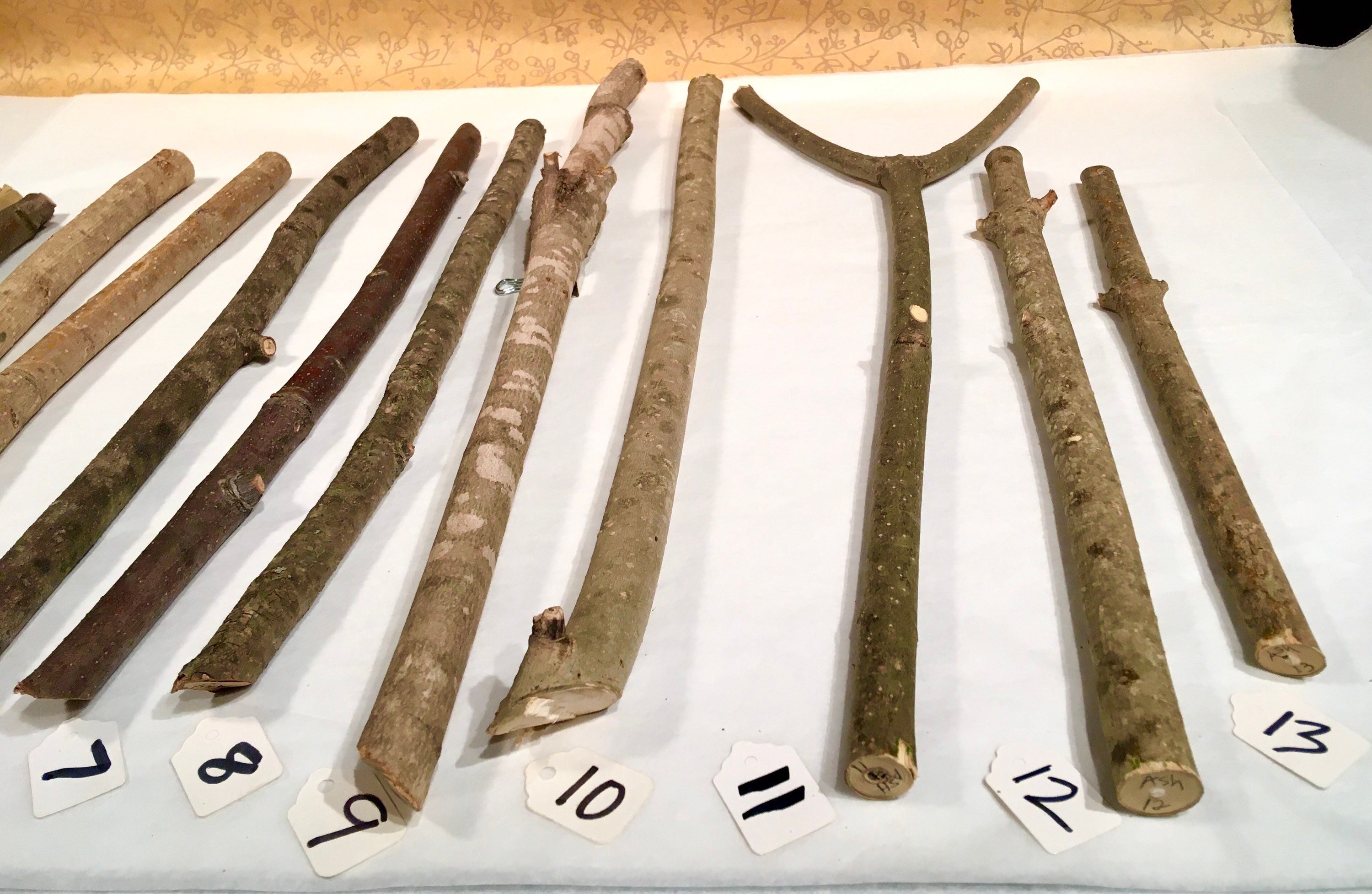 Ash Wood White Ash Wand Carving Sticks Fraxinus Americana | Etsy