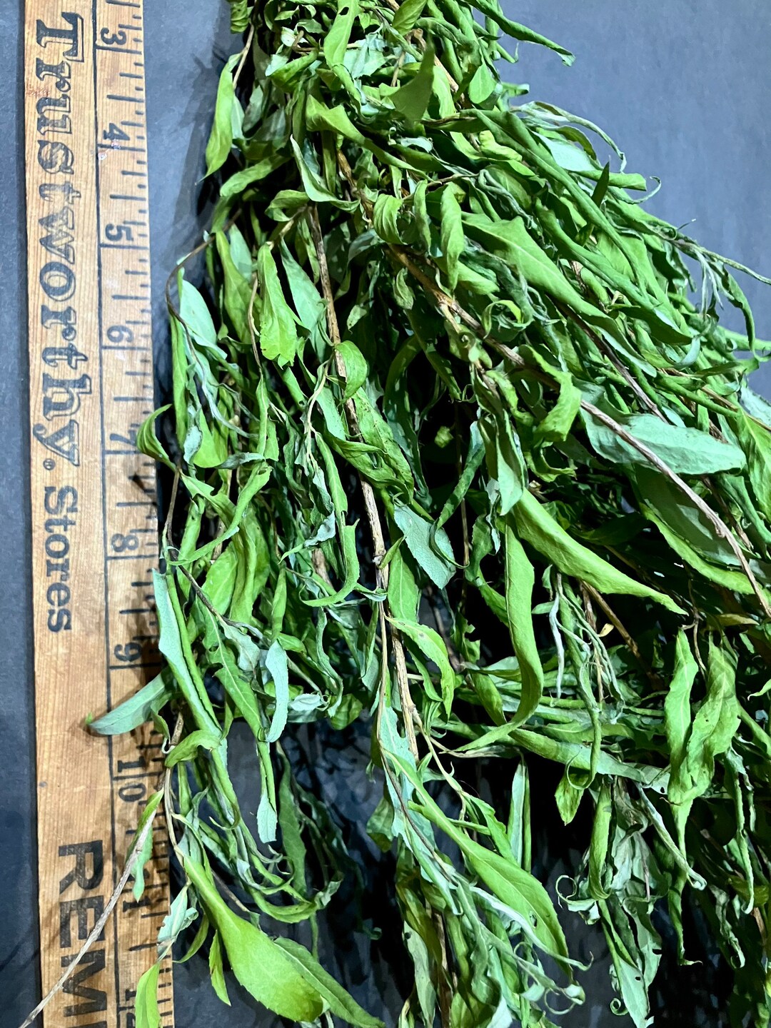 Dried Willow Leaves - Etsy