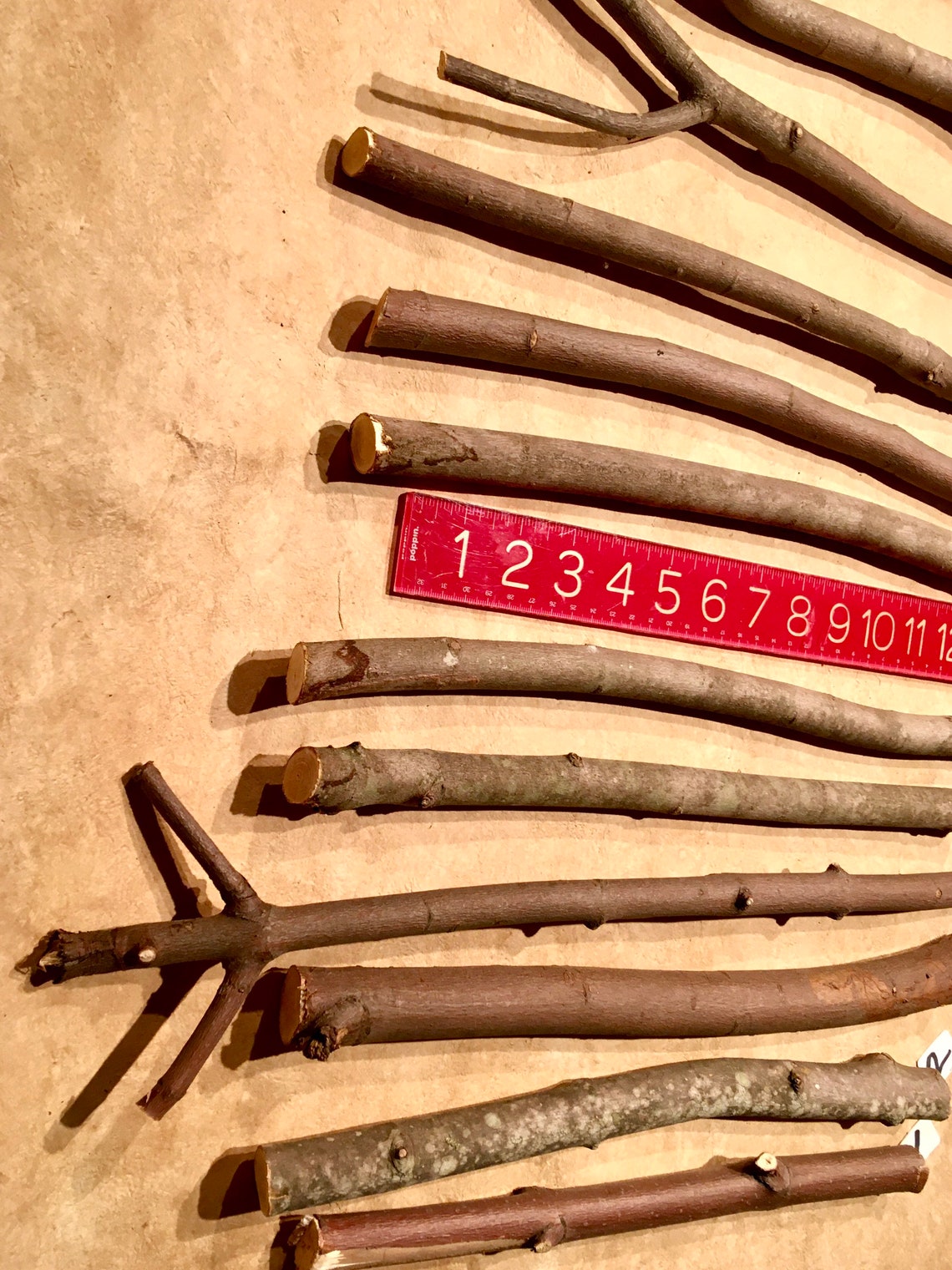 Maple Wood Sticks Sugar Maple Wand Carving Wood - Etsy