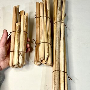 Dried Cattail Stems - Etsy