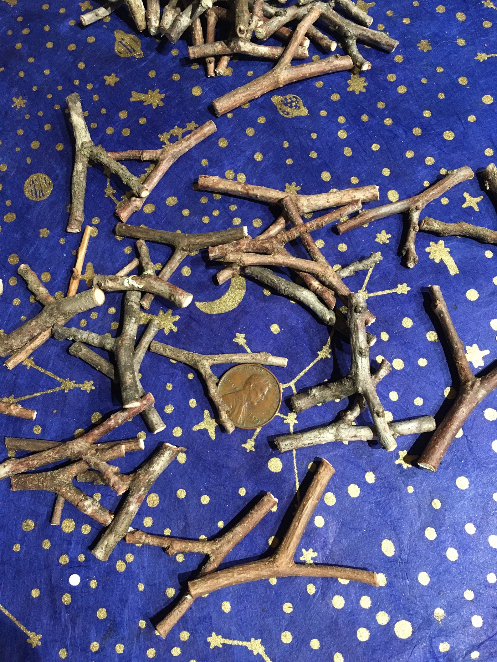 Witch Hazel Twig Forks, 4 Sizes Tiny Forked Sticks - Etsy