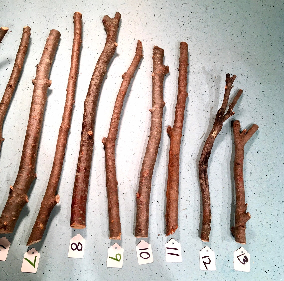 Hemlock Wood Eastern Hemlock Wand Carving Sticks Witch and | Etsy