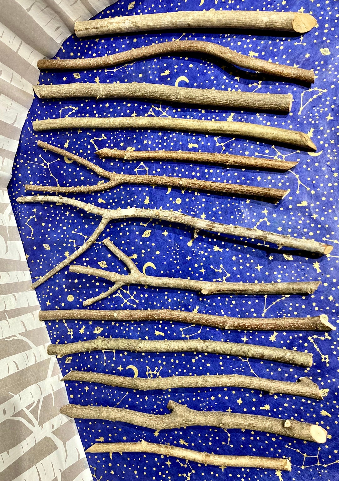 Hazel Wood Sticks Hazelnut Wand Whittling Wood - Etsy