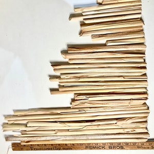 Dried Cattail Stems - Etsy