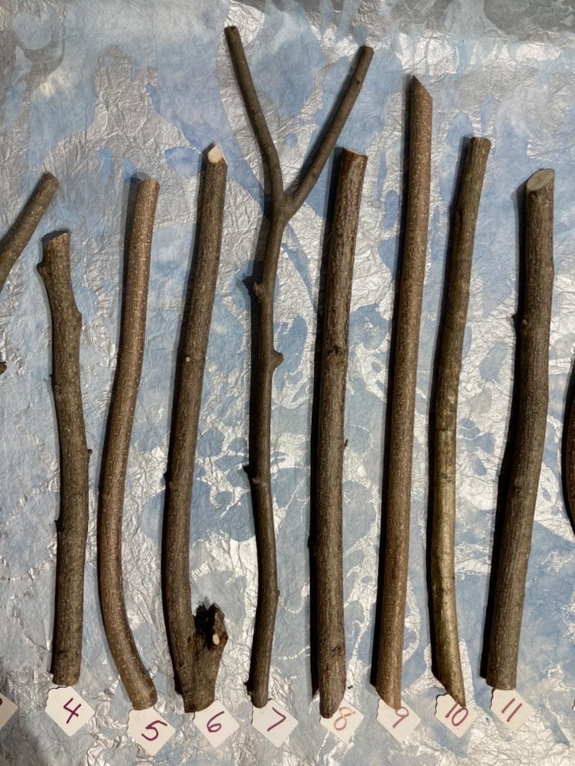 Hazel Wood Sticks Hazelnut Wand Whittling Wood - Etsy