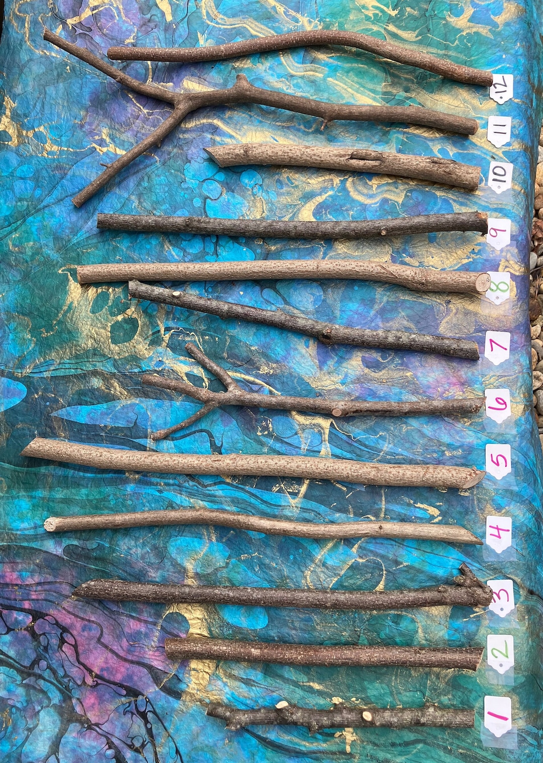 Hazel Wood Sticks, Hazelnut Wand Whittling Wood - Etsy