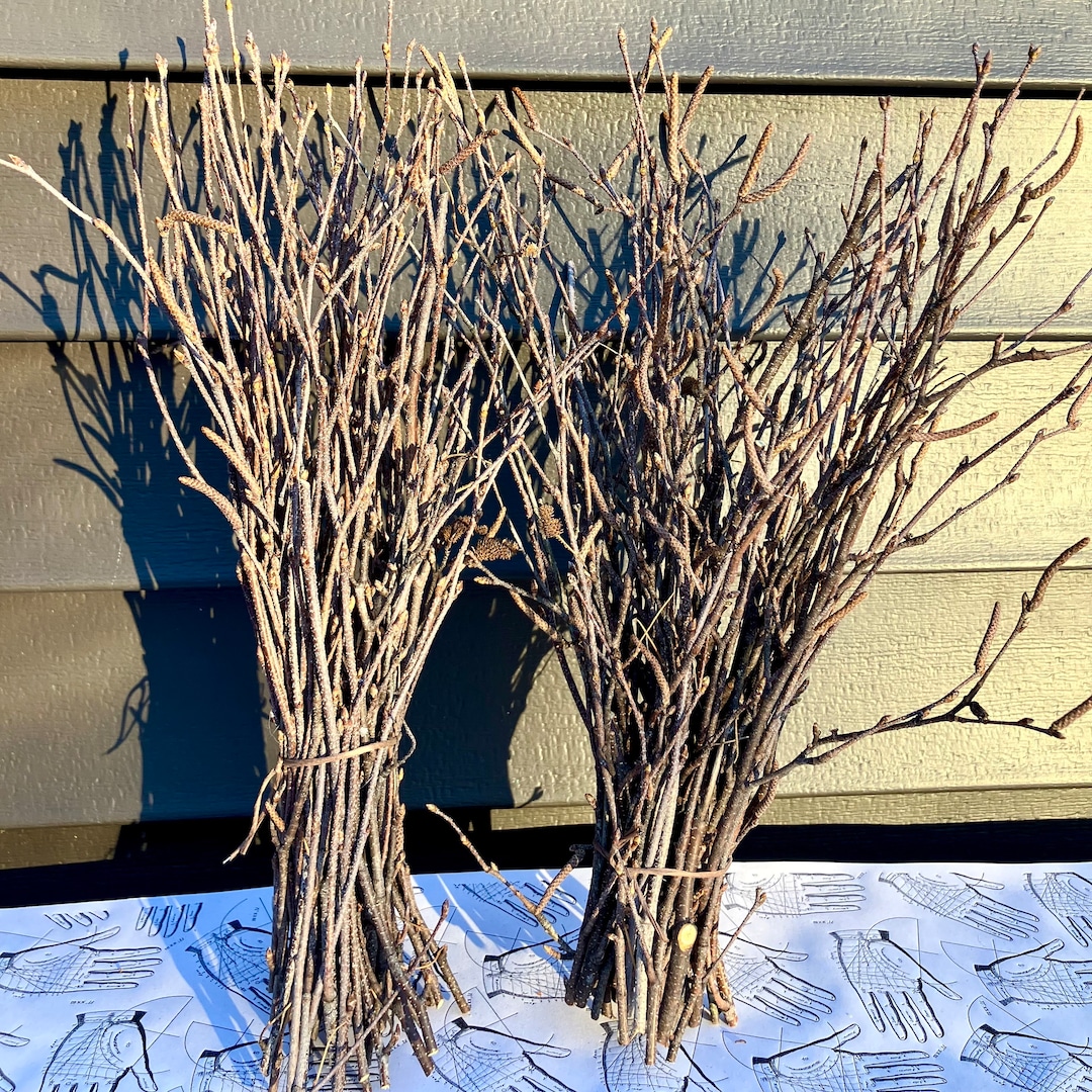 100 Stems Mini Birch Twigs, Two 12" Birch Twig Tip Bundles - Etsy