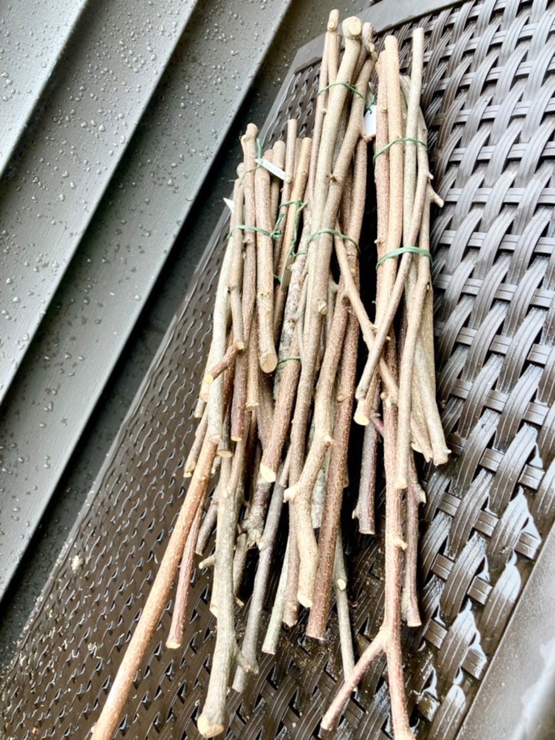 8 Hazelnut Wood Sticks - Etsy