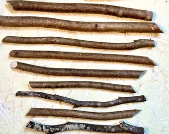 Hazel Wood Sticks - Etsy