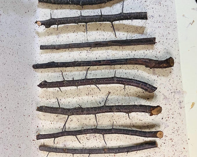 Irish Custom Made Blackthorn Walking Sticks. - Etsy