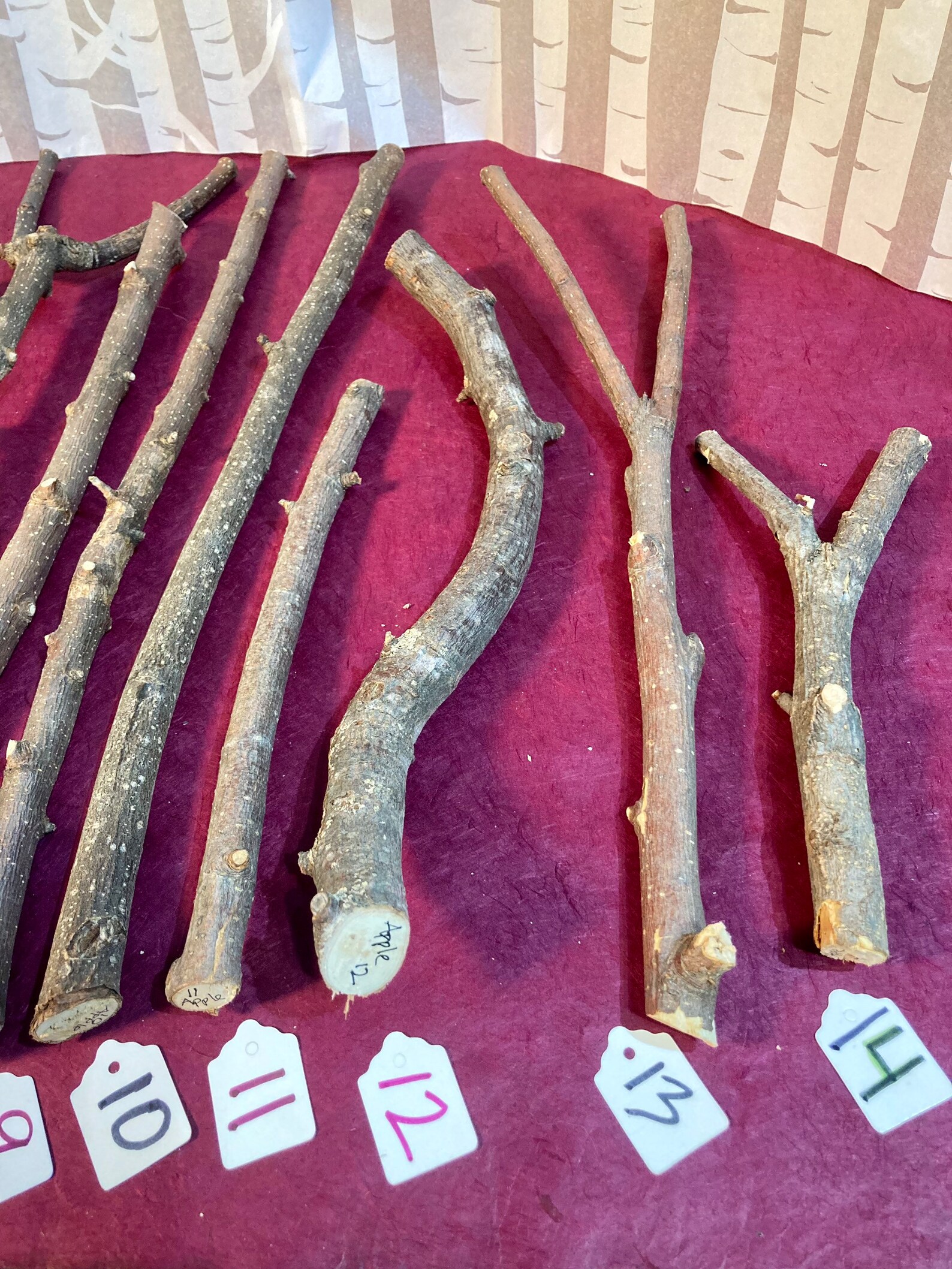 Wild Apple Wand Carving Wood - Etsy