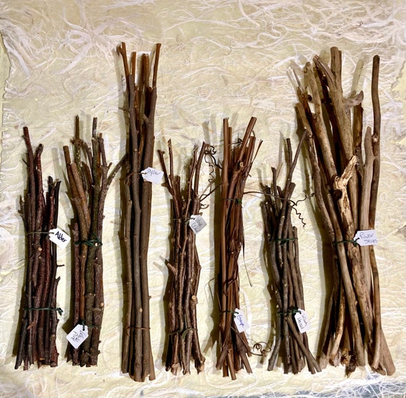 Bundle Of Sticks