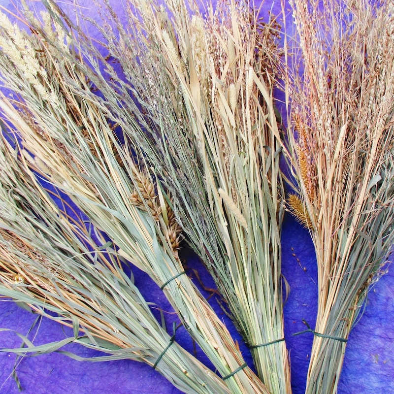 Dried Grass - Etsy