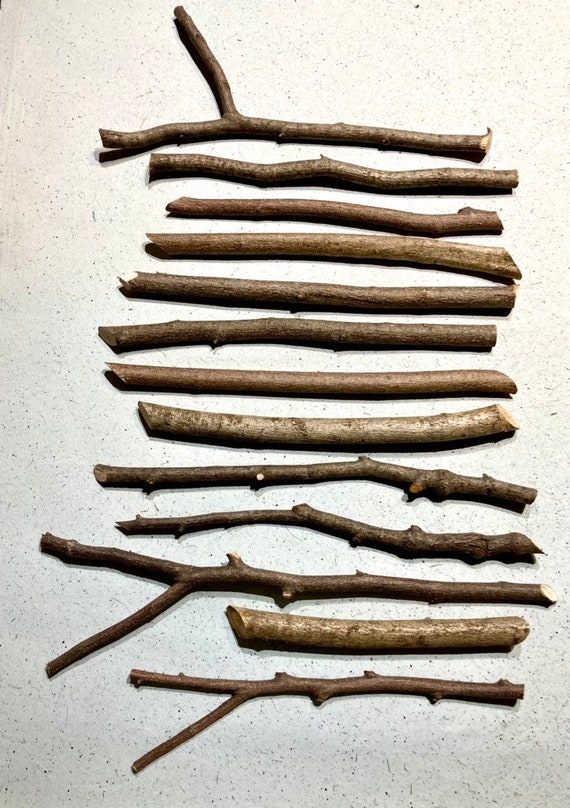 Hazel Wood Sticks Hazelnut Wand Whittling Wood - Etsy