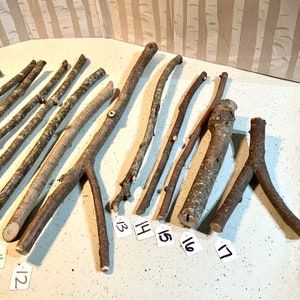 Rowan Wand Carving Wood - Etsy