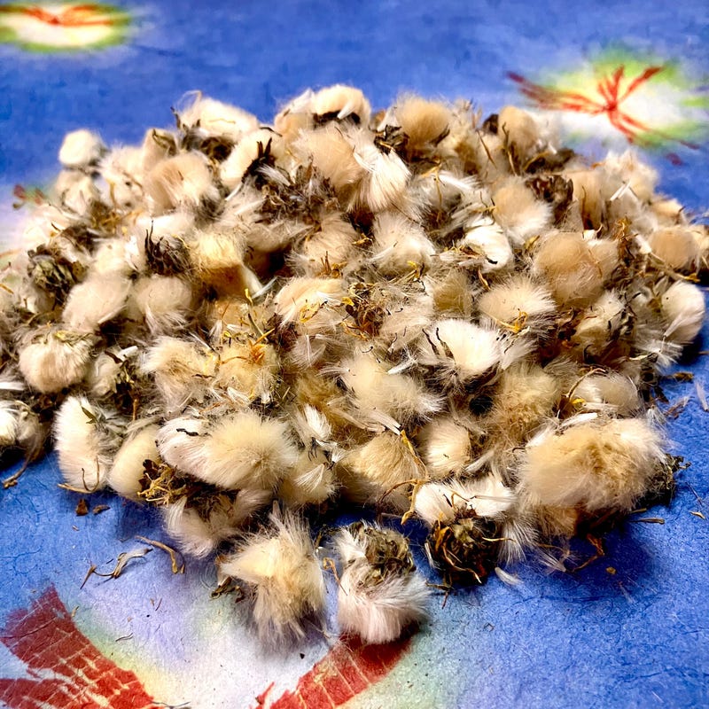 Dandelion Fluff - Etsy