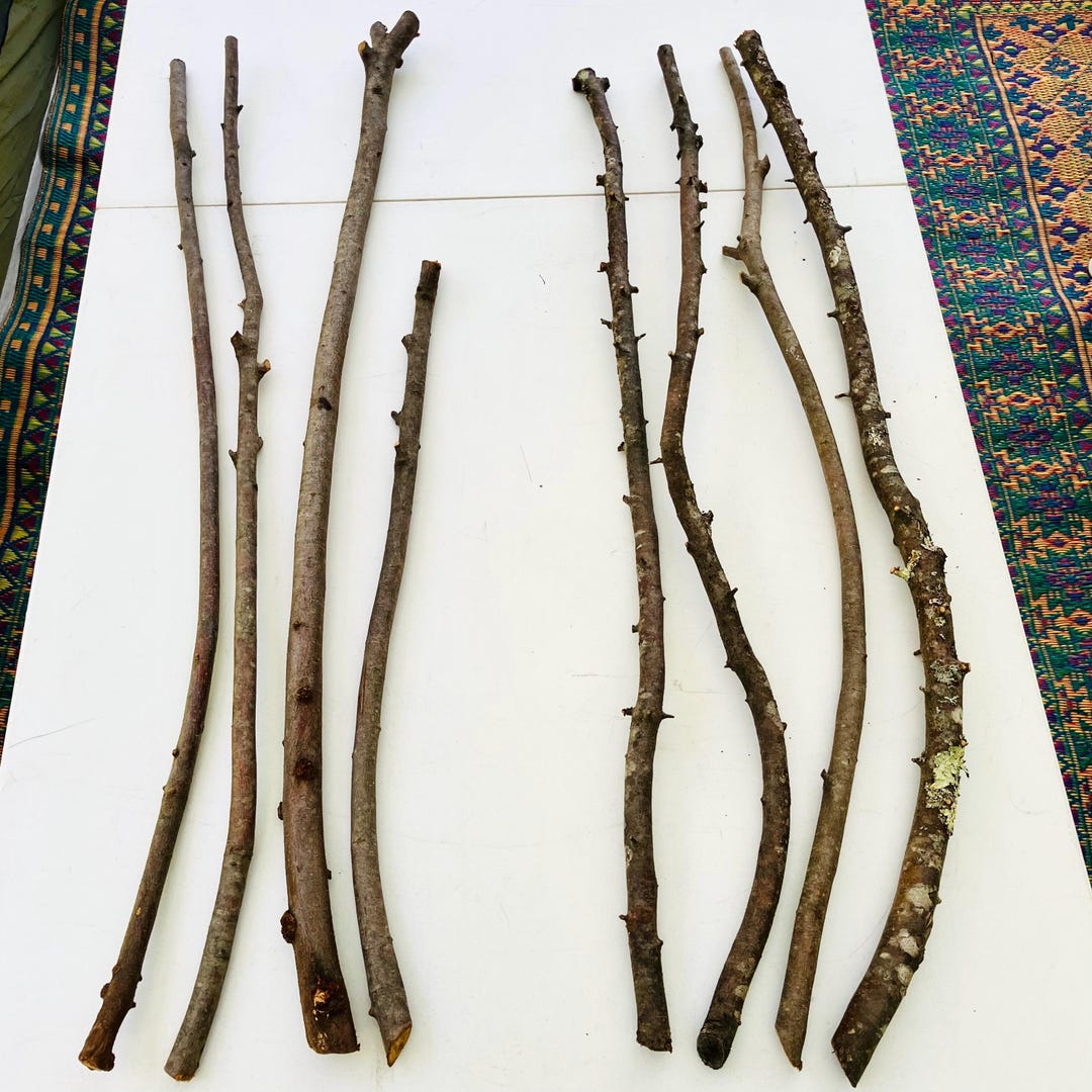 Four 36" Long Apple Wood Sticks - Etsy