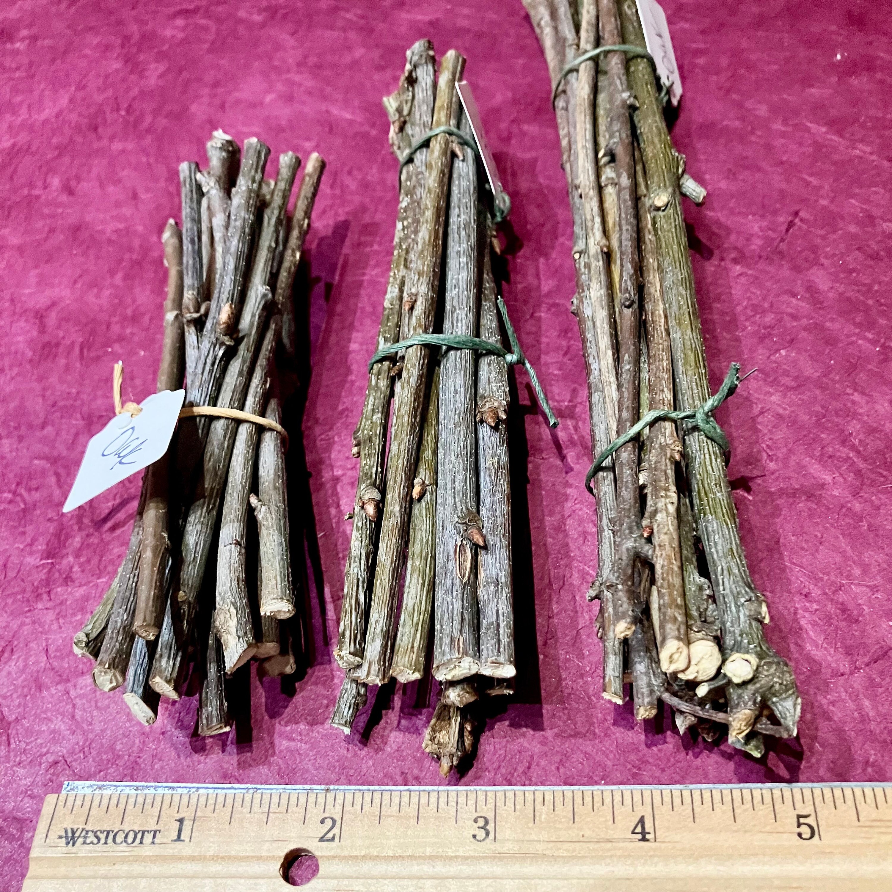 Short Oak Wood Crafting Sticks, Red Oak Stick Bundles - Etsy