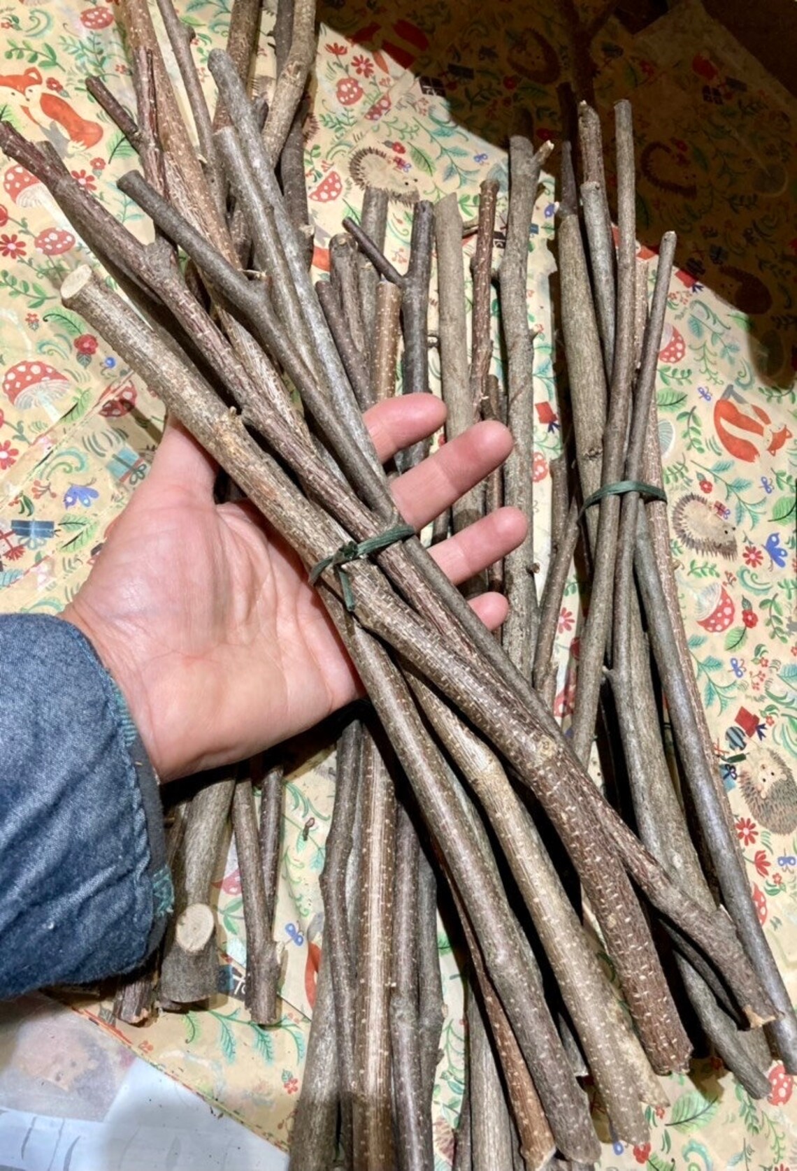 Hazelnut Wood Sticks - Etsy