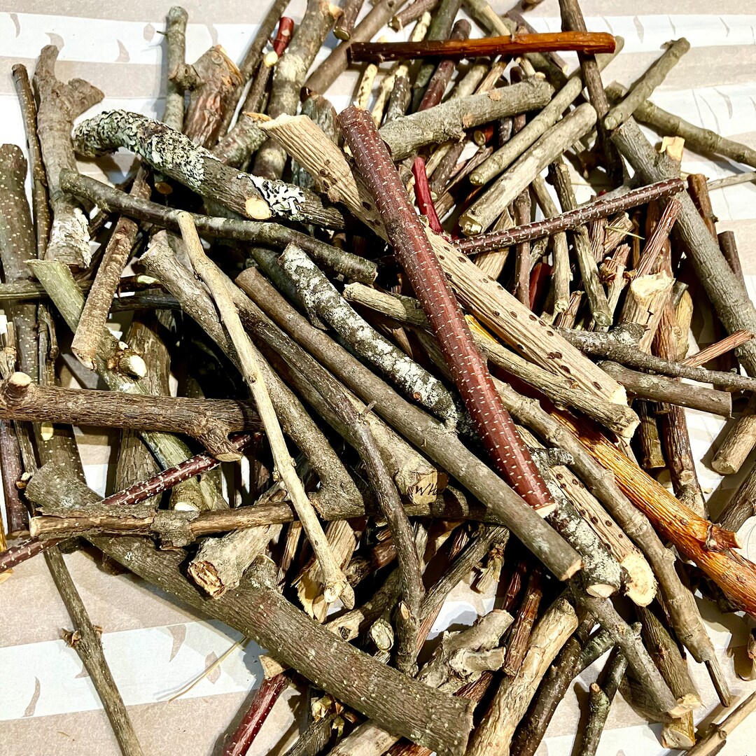 Short Crafting Sticks, Mixed Hardwood Small Sticks - Etsy