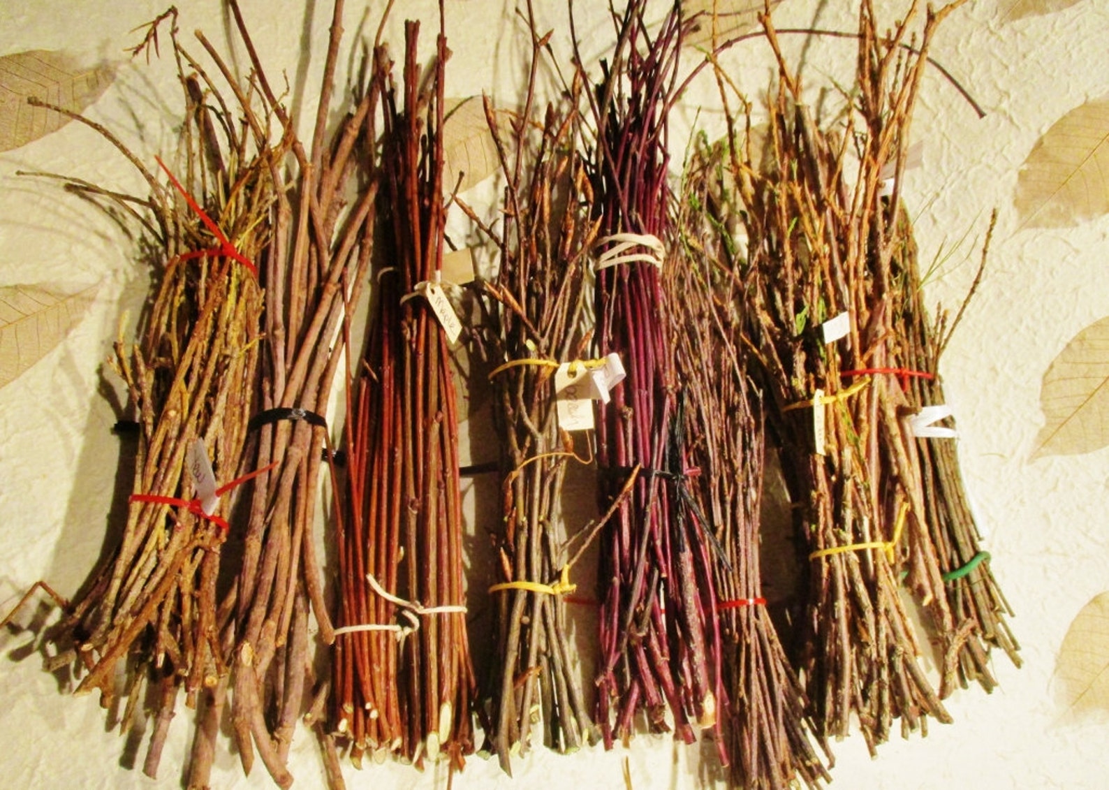 Wood Twig Bundles, 33 Sacred Woods for Witch Supply, Rituals, Crafts ...