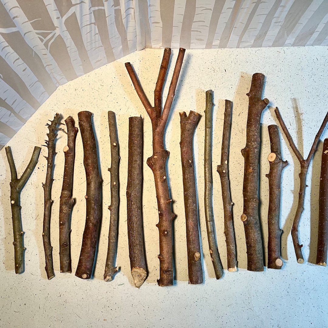 Wild Apple Wand Carving Wood - Etsy