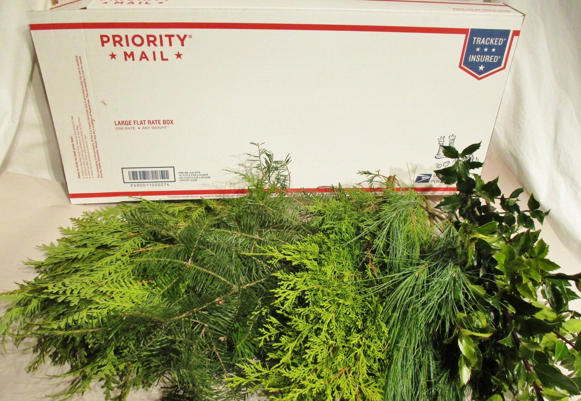 Fresh Mixed Evergreens White Pine Holly Balsam Fir and | Etsy