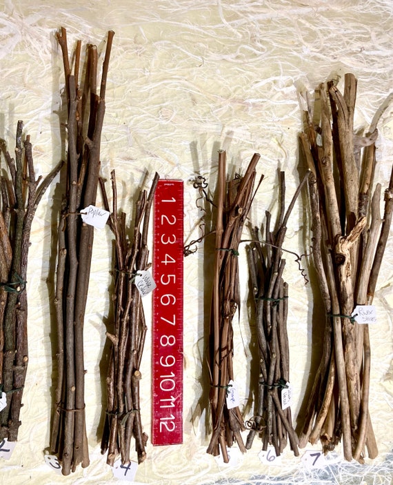 Op Is A Bundle Of Sticks