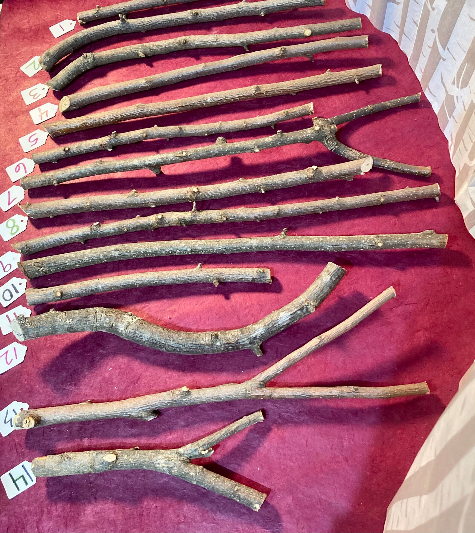 Wild Apple Wand Carving Wood - Etsy