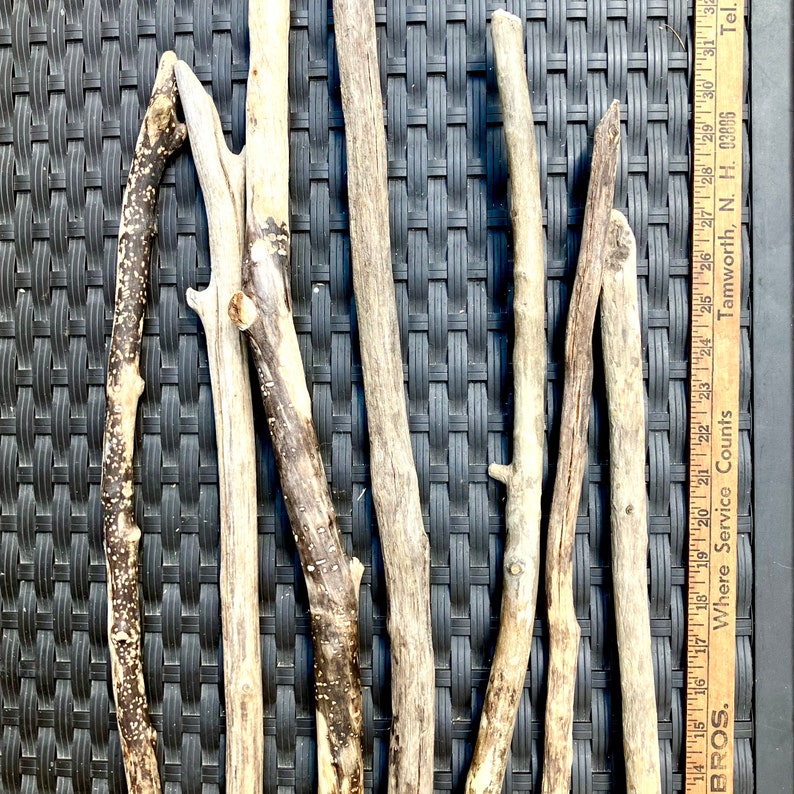 7 Weathered Sticks, Beaver Chewed Driftwood - Etsy