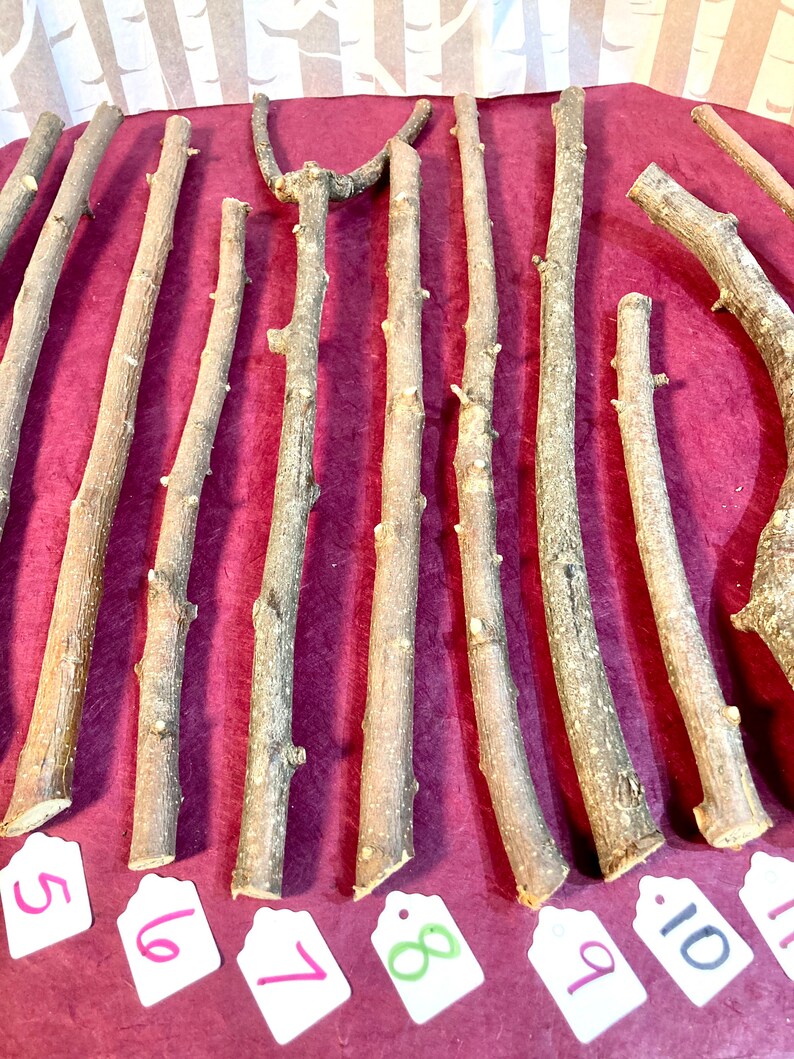 Wild Apple Wand Carving Wood - Etsy