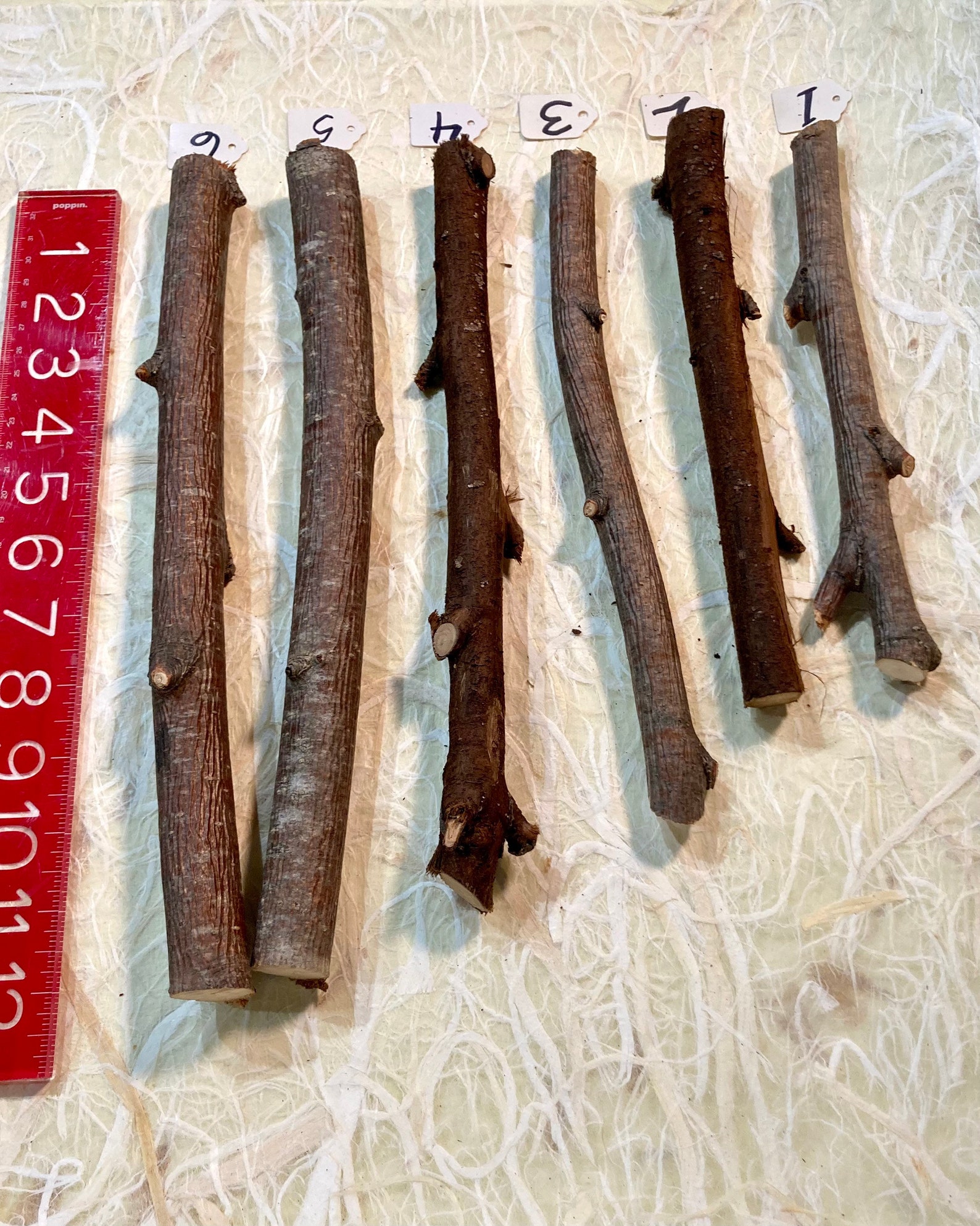 Rowan Wand Carving Wood - Etsy