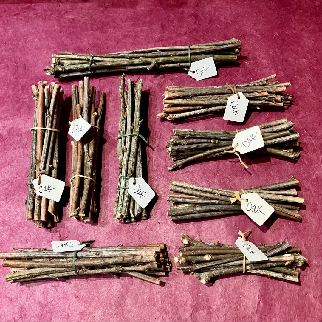 Short Oak Wood Crafting Sticks, Red Oak Stick Bundles - Etsy