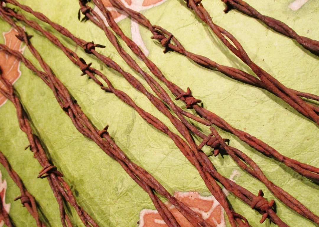 Old Rusty Barbed Wire - Etsy