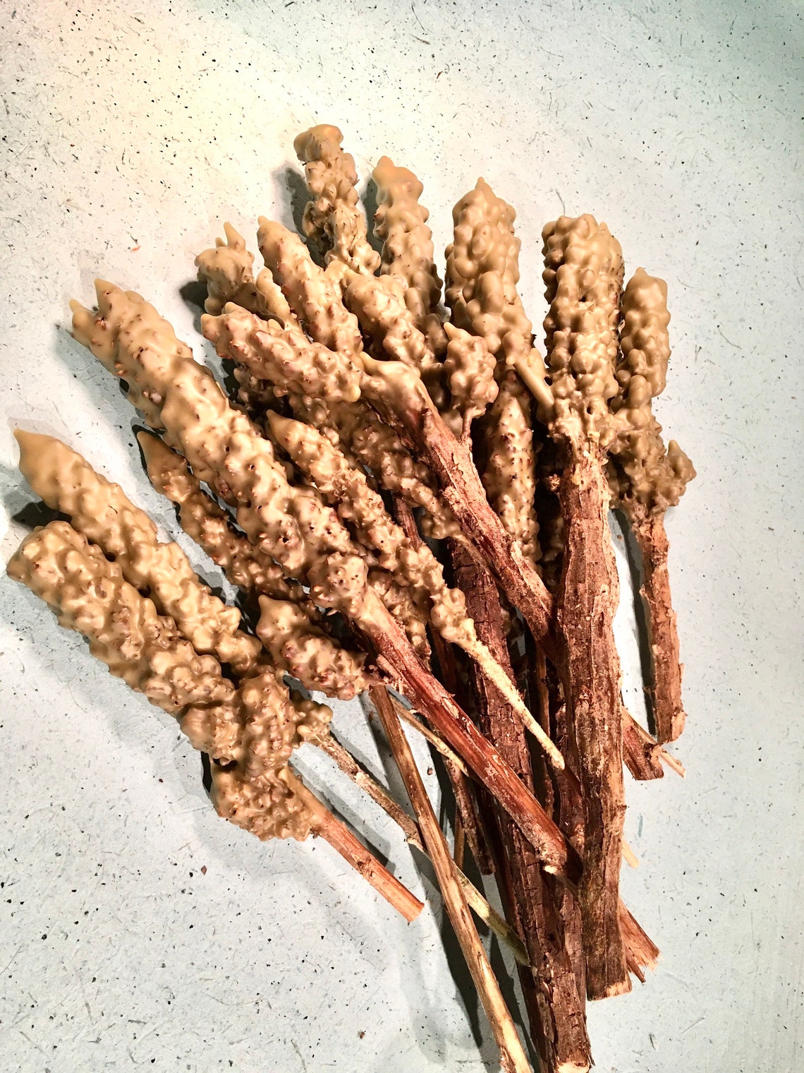 Large Witches Torches Mullein Bayberry Ceremonial Candle | Etsy