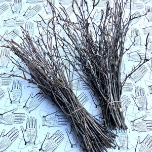 Mini Birch Twigs, 100 12" Birch Twig Tip Bundles - Etsy