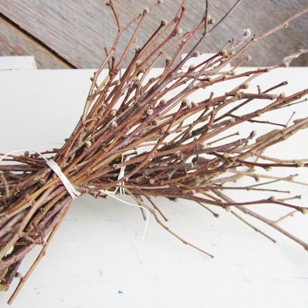 Twig Bundle - Etsy