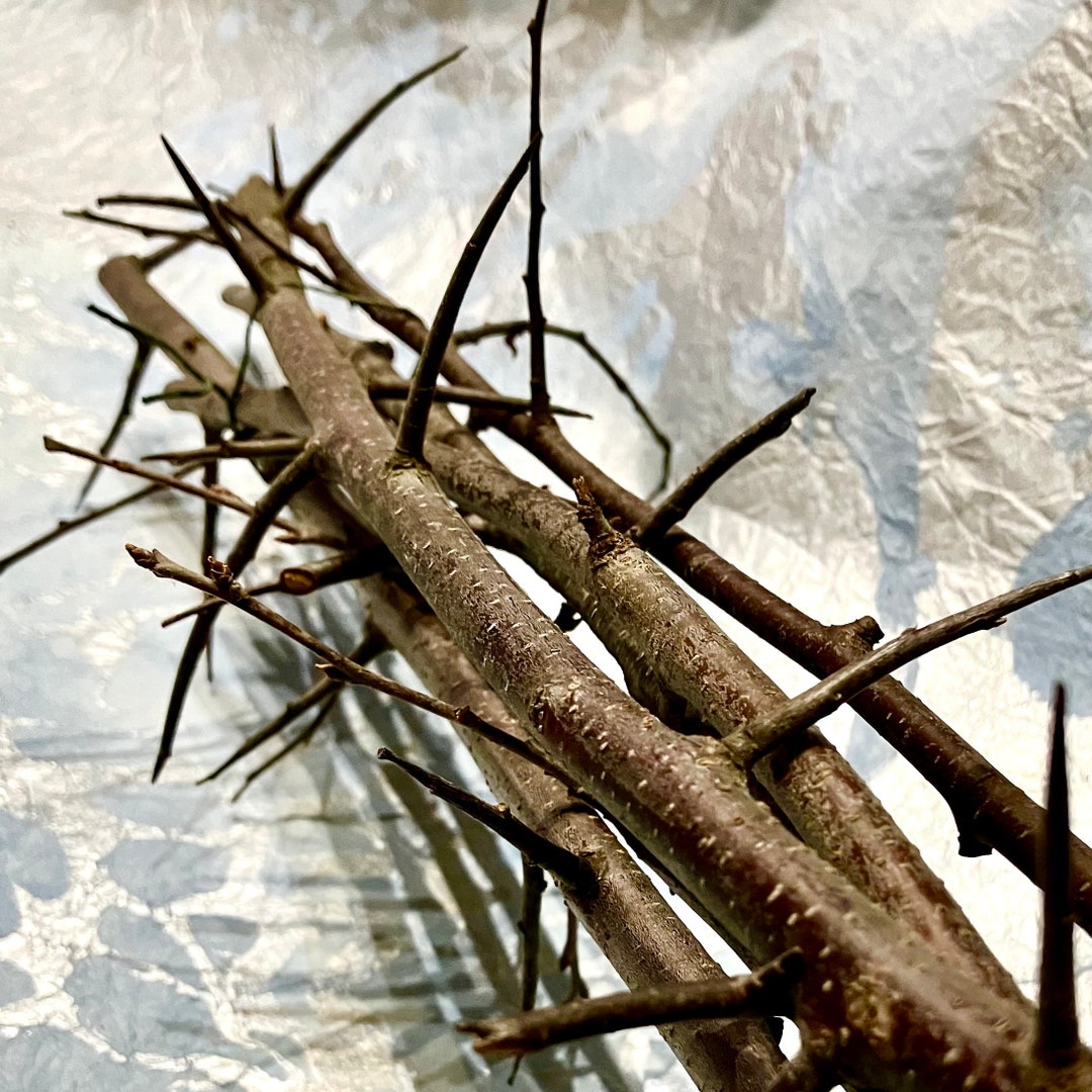 7 Blackthorn Wood, Sloe Blackthorn Stick Bundle - Etsy