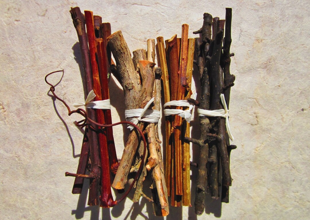 Pet Chew Wood Sticks, Baked Organic Fruit Wood Rodent Chews - Etsy