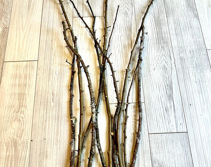 Hawthorn Tree Twigs With Thorns - Etsy